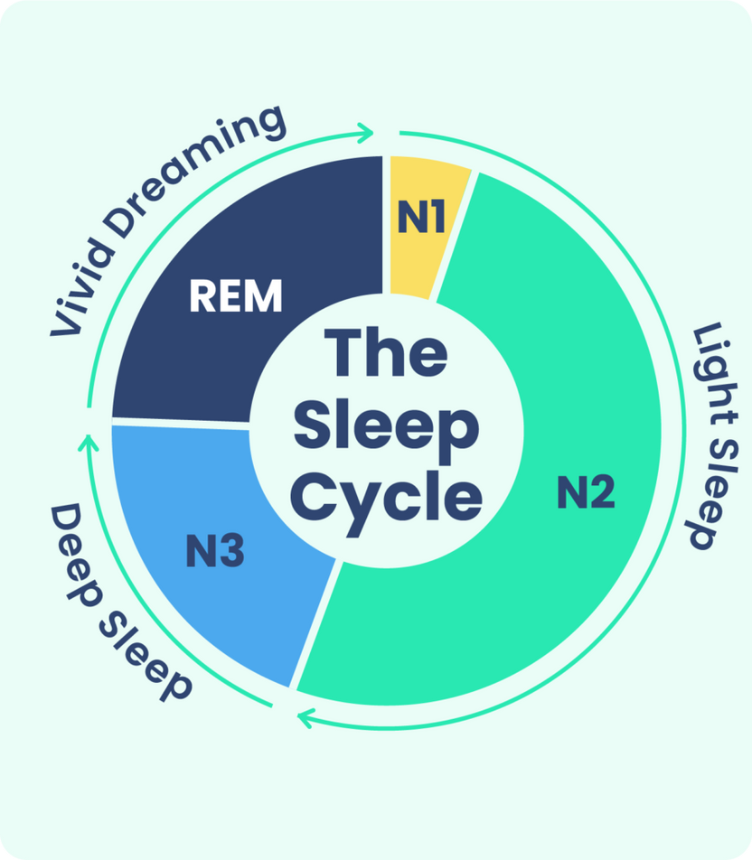 All You Need to Know About Core Sleeping (The Ultimate Guide)