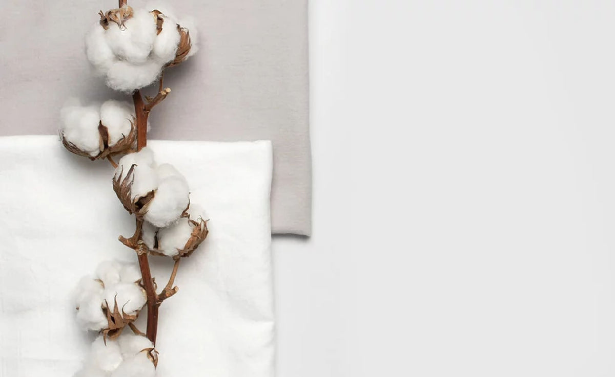 Modal Fabric vs Cotton: Which is Better for You?