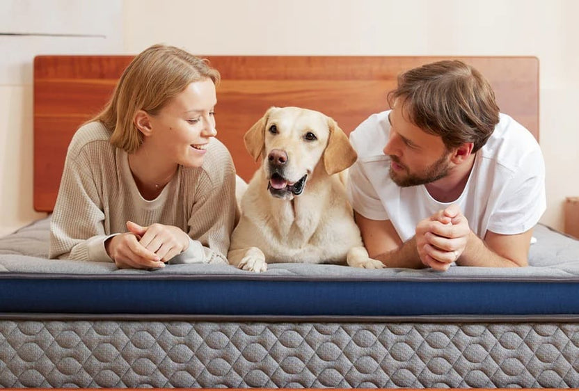 [2025 Detailed Guide] When to Replace Mattress?